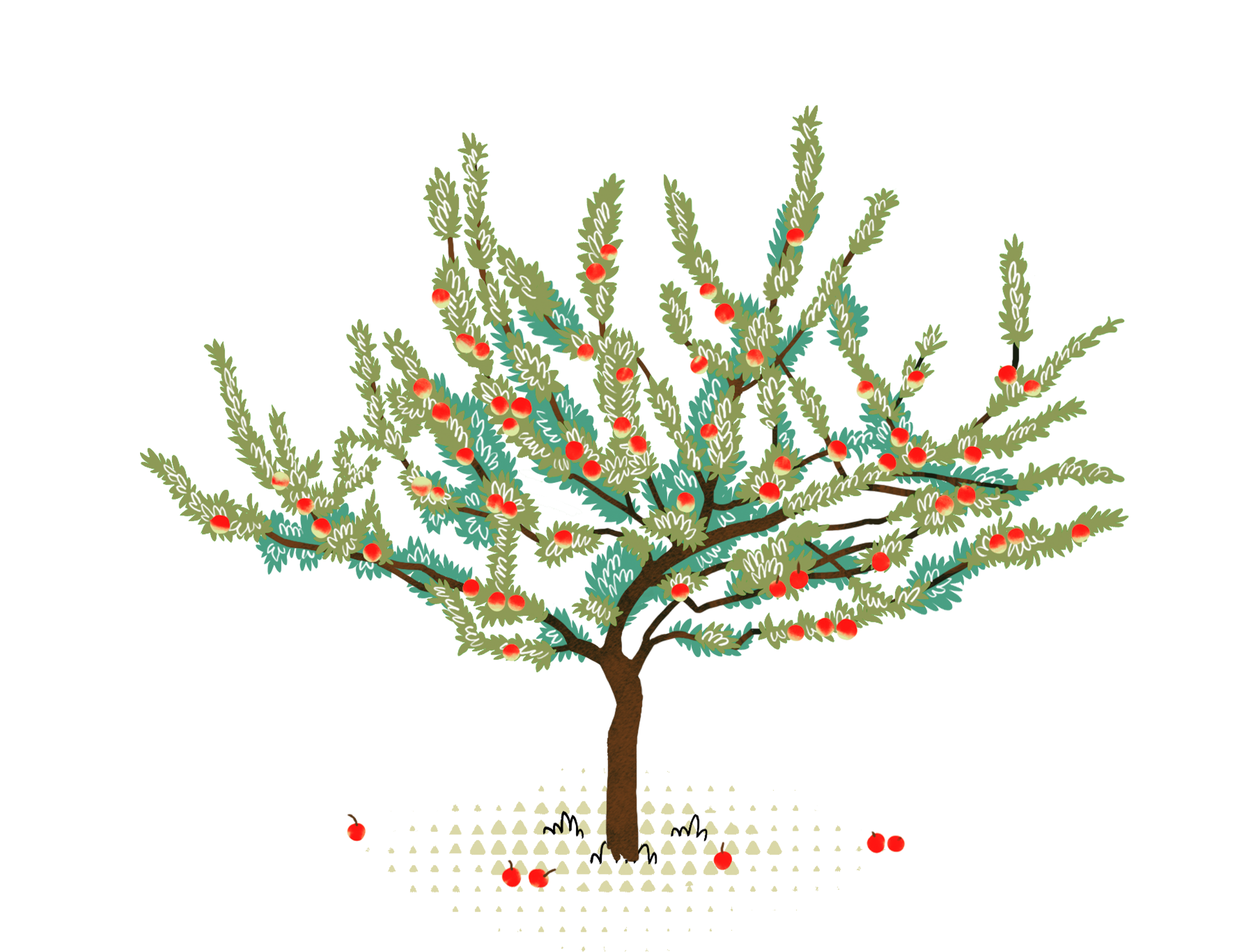 Apple Tree With Roots Drawing
