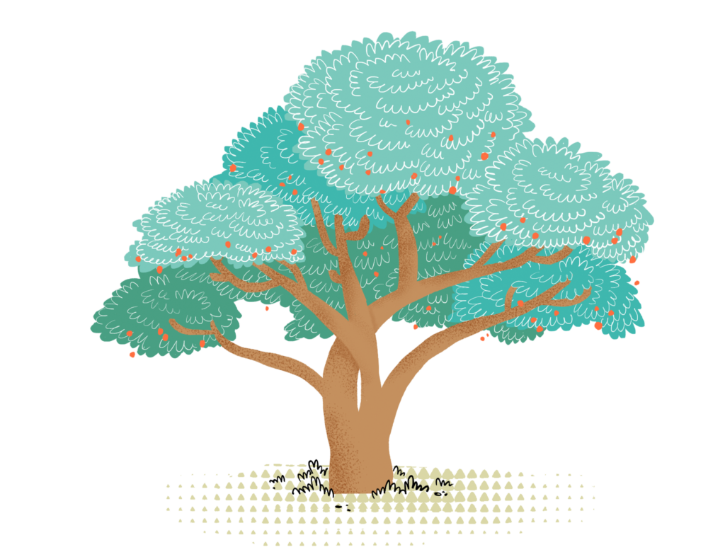 Adopt or gift a Nerè tree - WOWnature