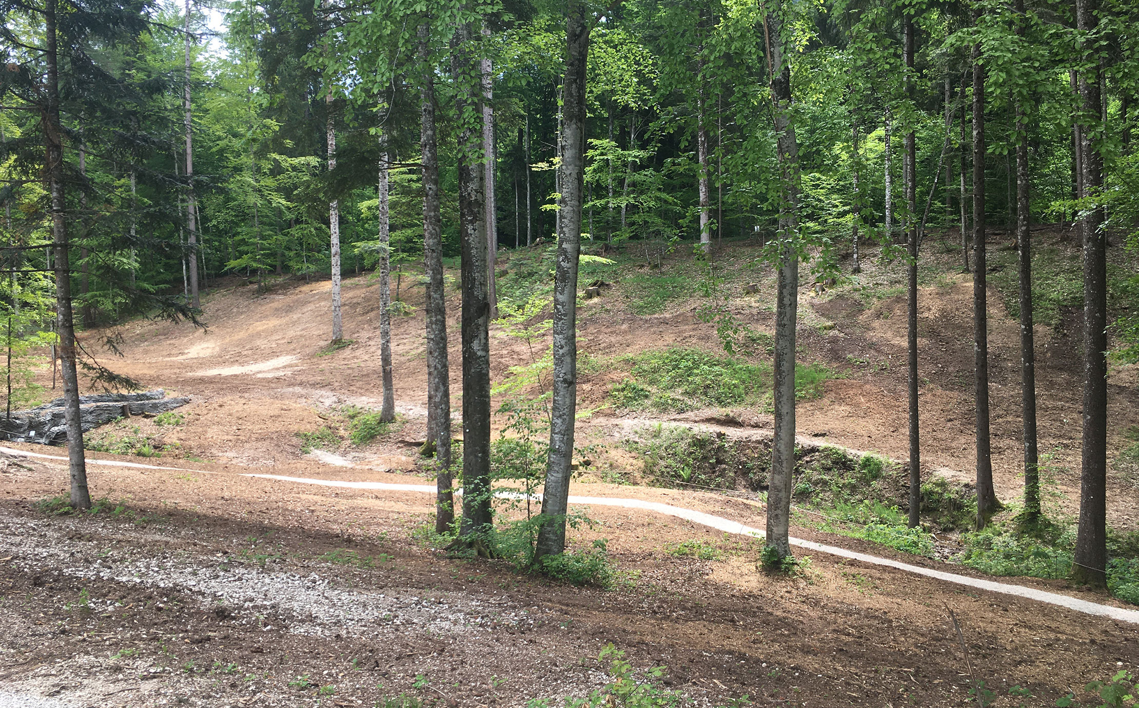 Val di Sella - WOWnature