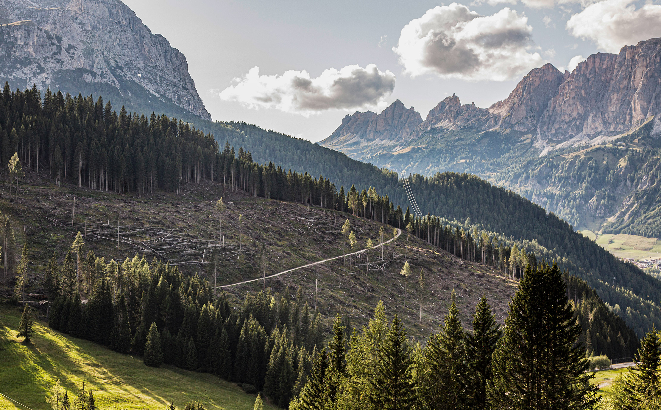 Alta Badia Masisti Forest - WOWnature