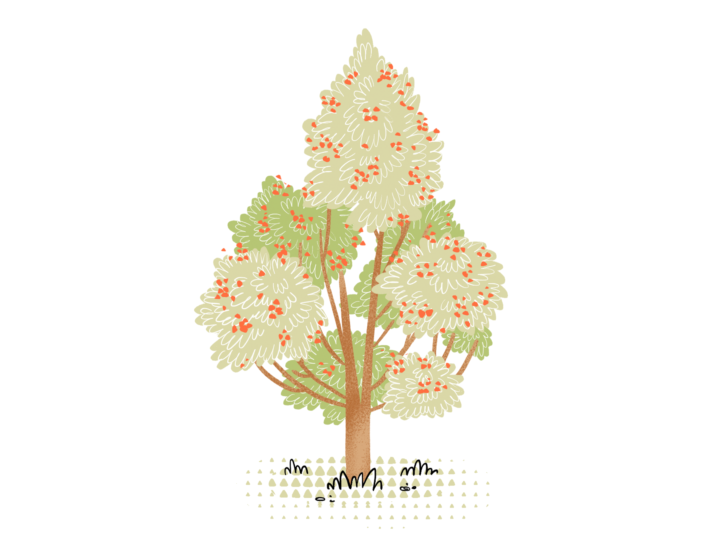 Adopt or gift a Rowan tree - WOWnature