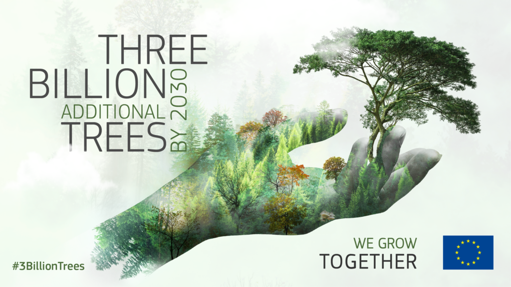 3 Billion Trees by 2030: WOWnature participates in the new EU strategy ...