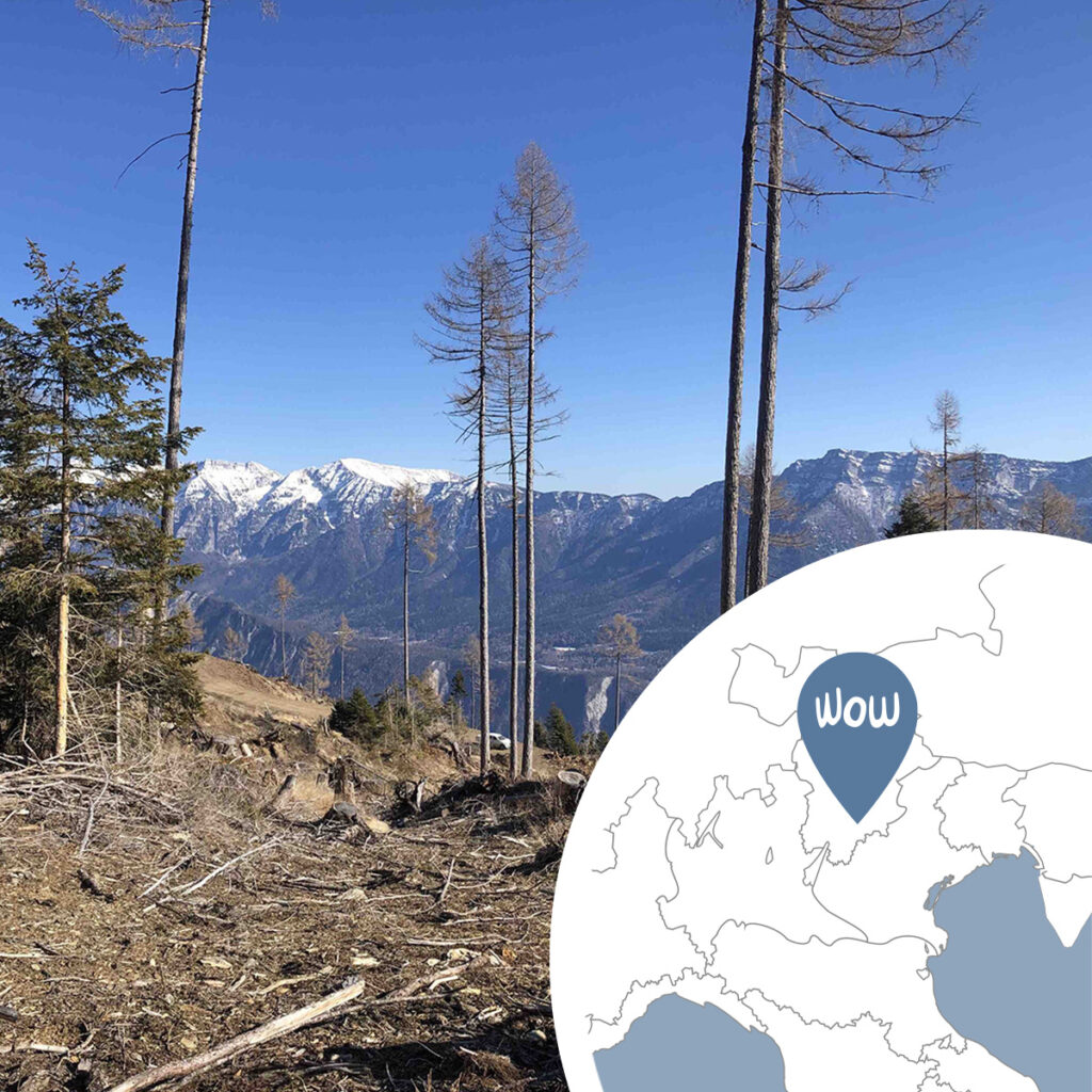 Adopt or gift - Wownature