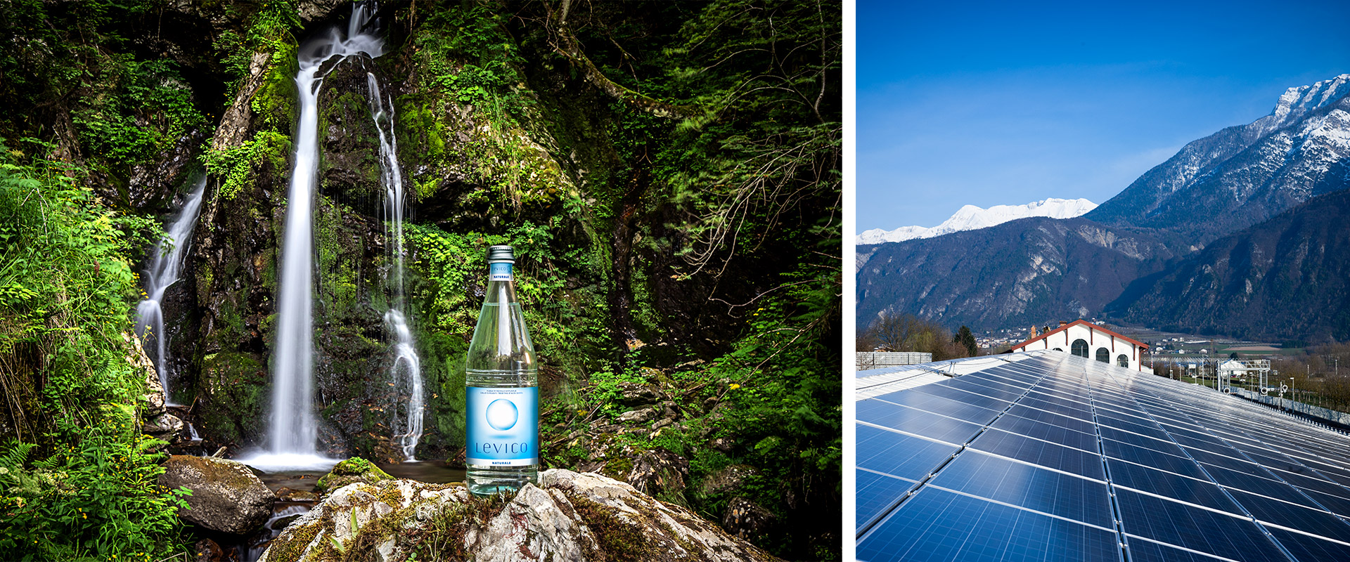 Levico Acque helps forests with WOWnature