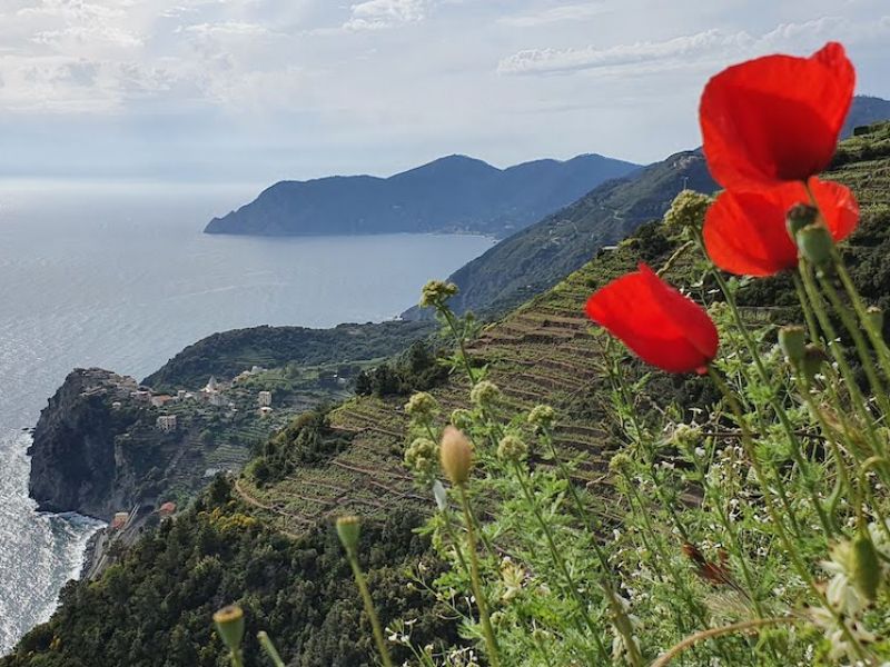 10 parchi nazionali italiani da visitare - WOWnature