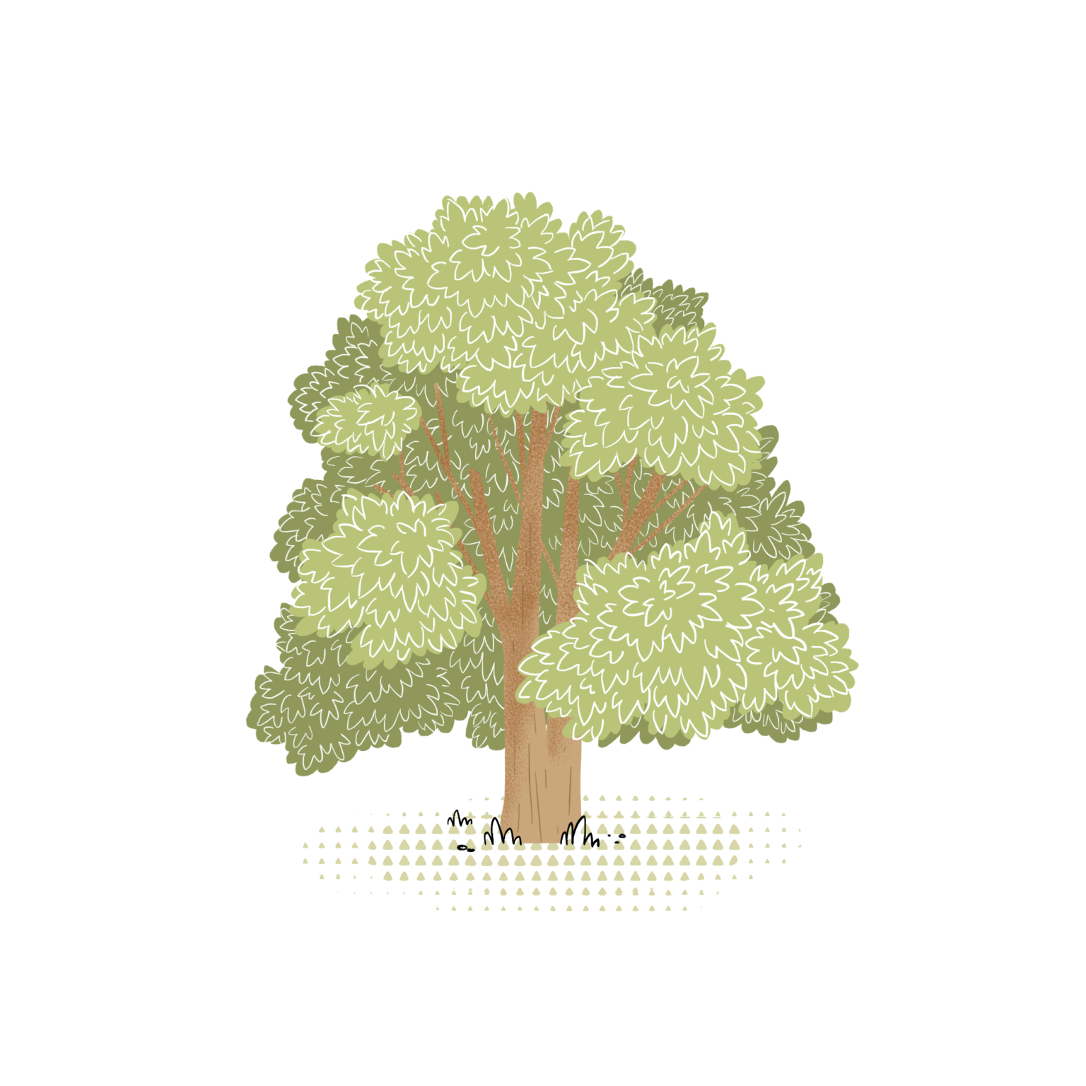 Home page - Wownature