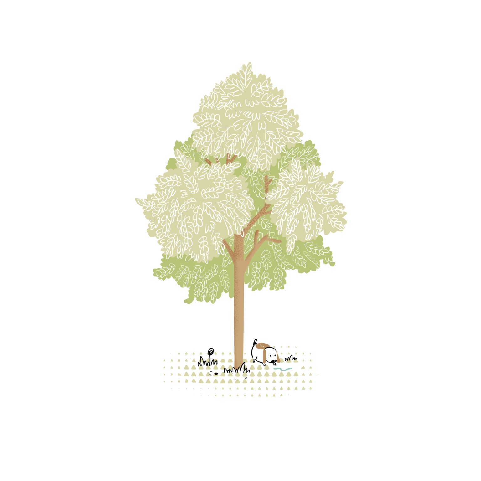 Home page - Wownature