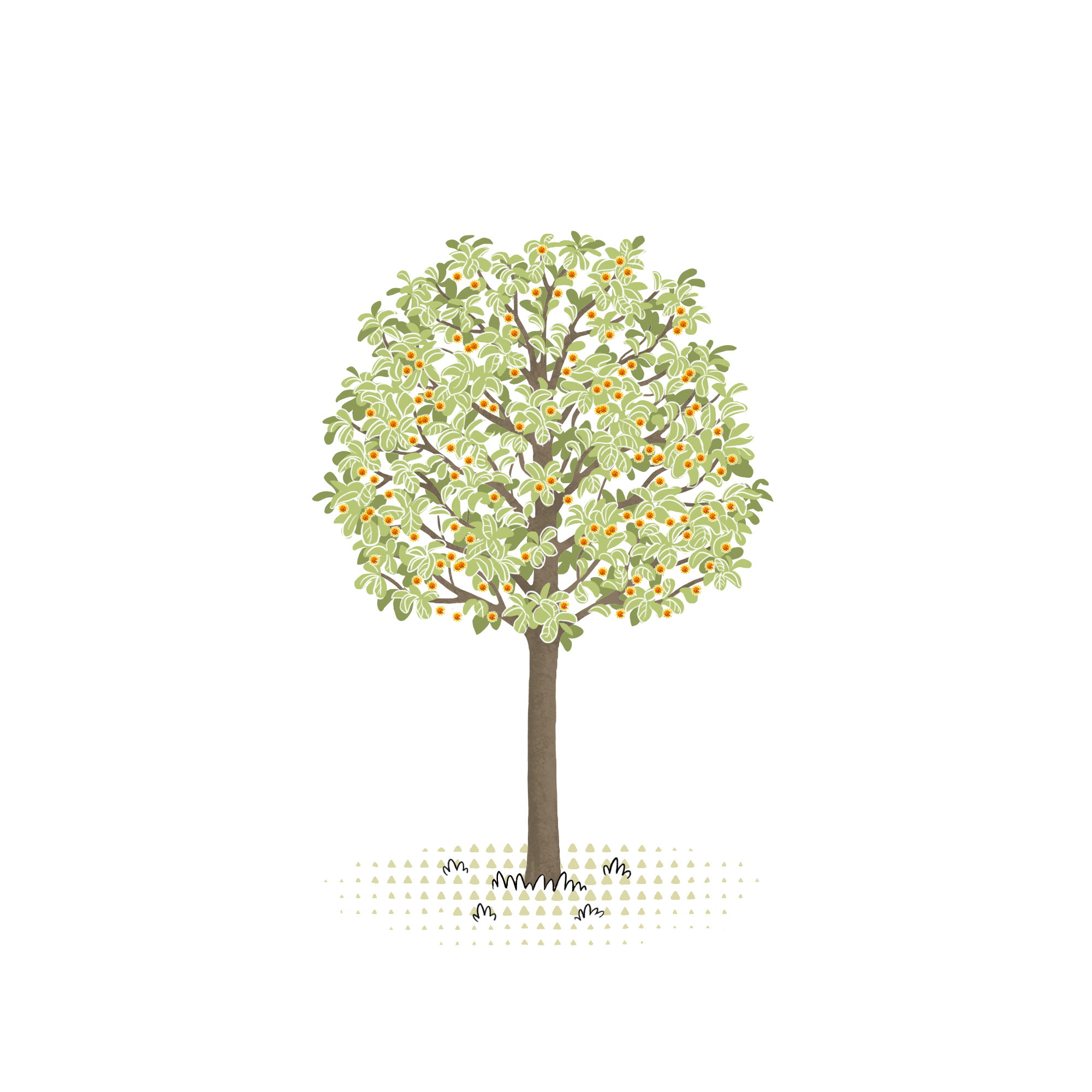 The species - Wownature