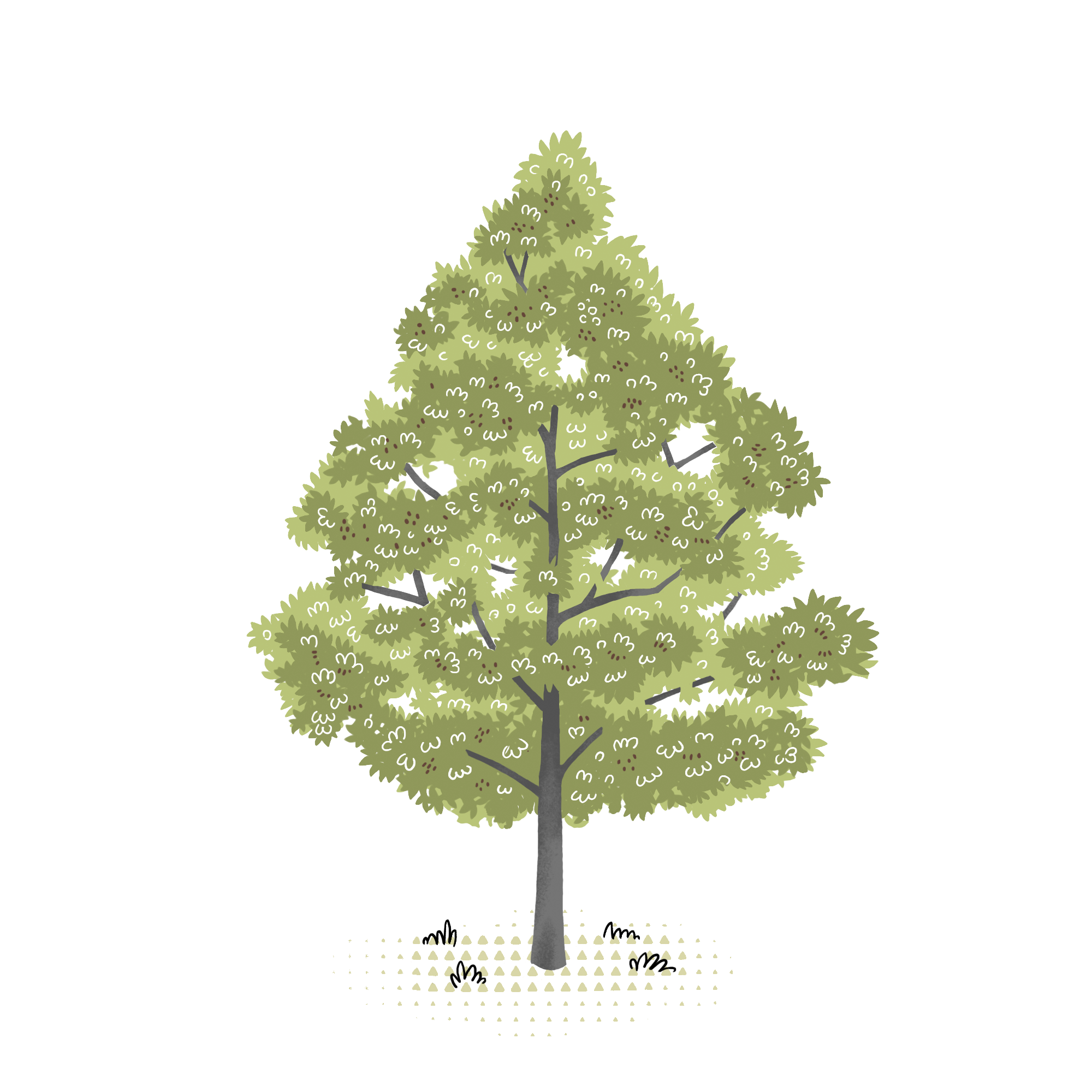 Adopt or gift - Wownature