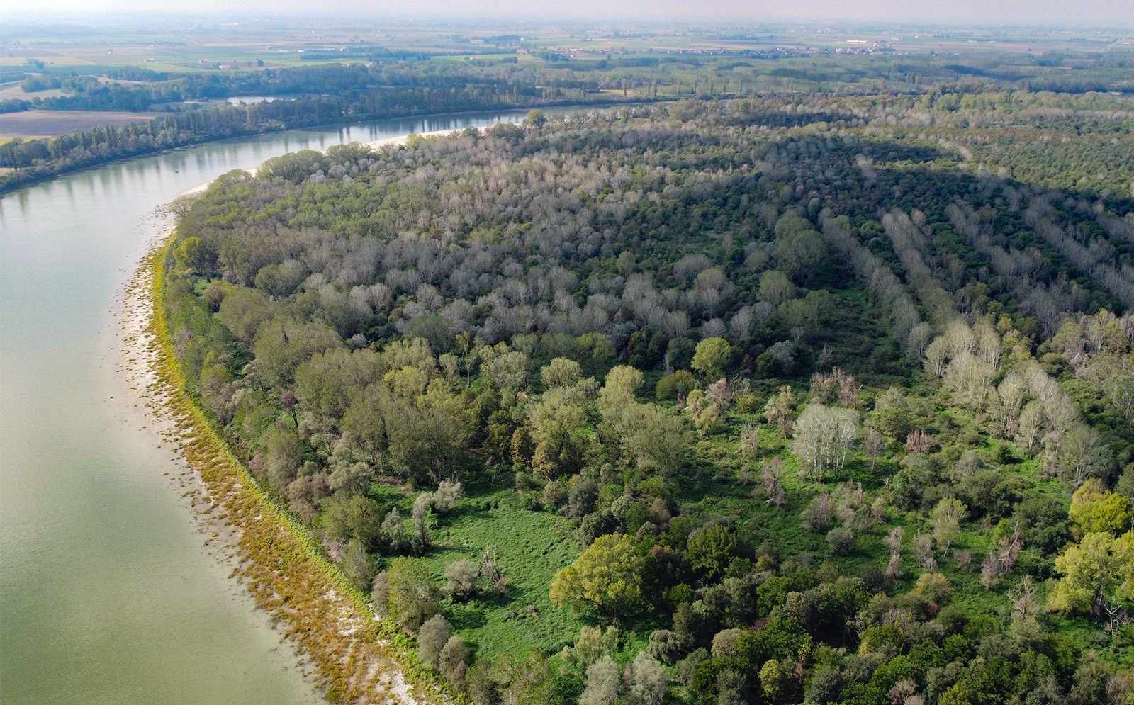 Isola Maria Luigia - WOWnature