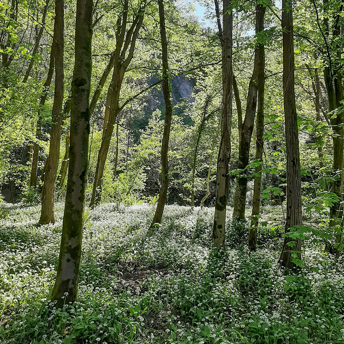 Parco Spina Verde | WOWnature