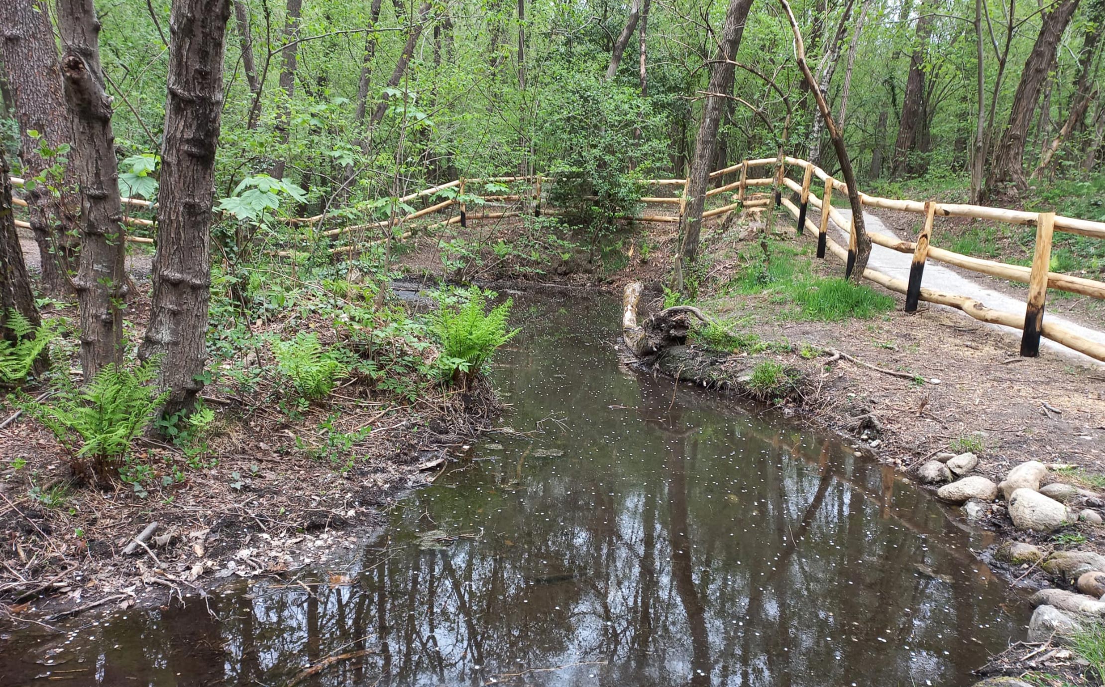 Adotta un albero a Parco Spina Verde con WOWnature