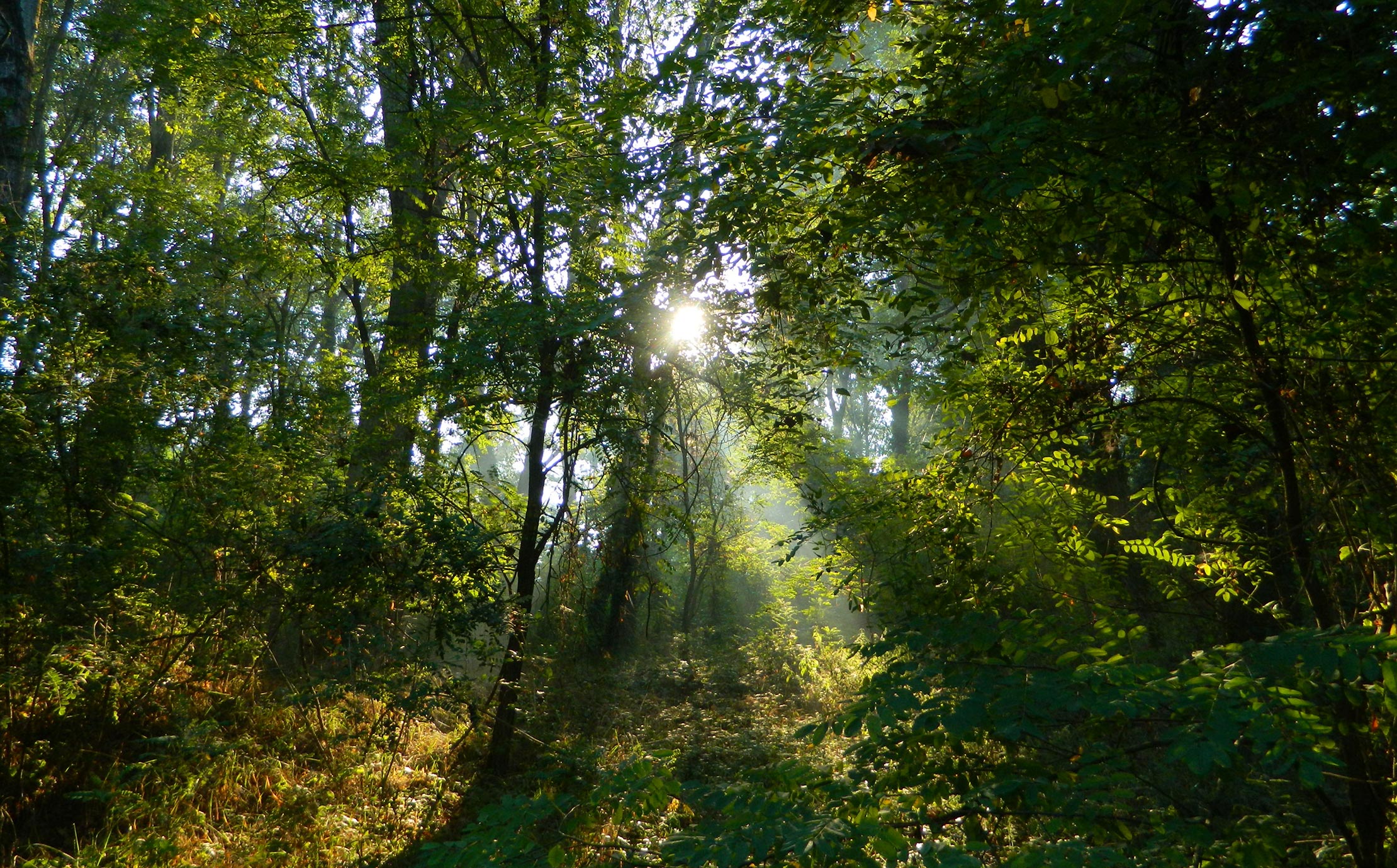 Parco Oglio Nord | WOWnature