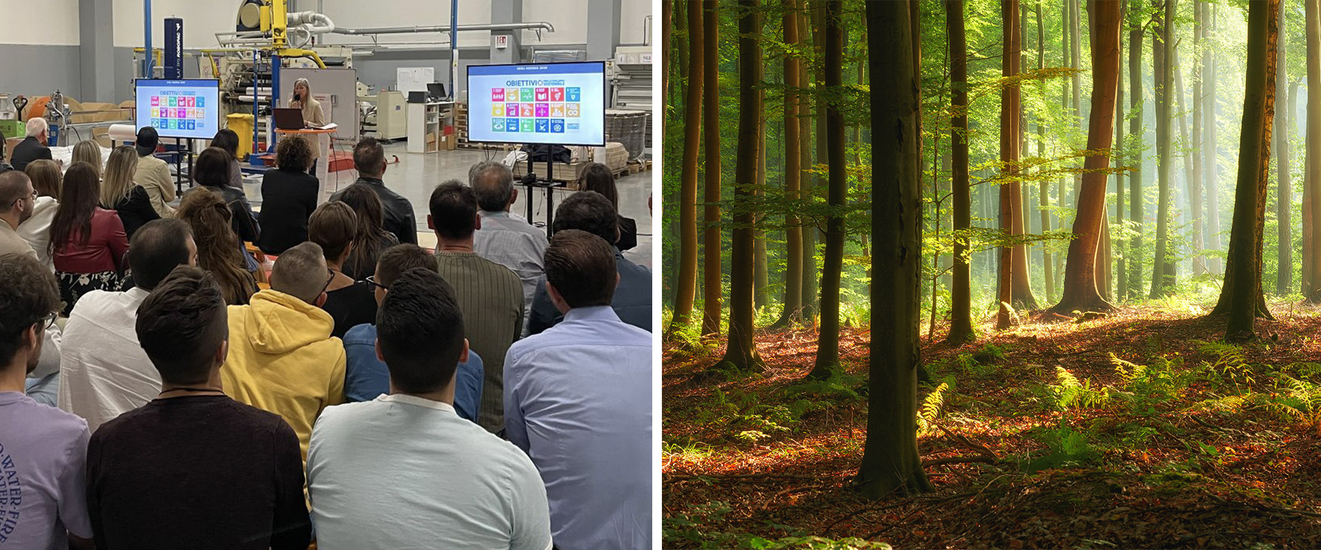 Cartotecnica Postumia helps forests with WOWnature