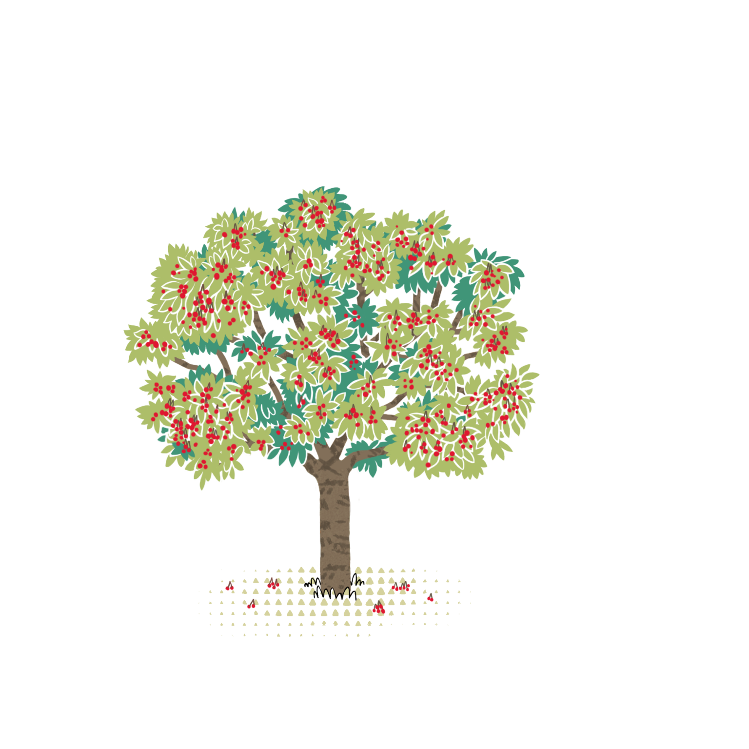 Home page - WOWnature