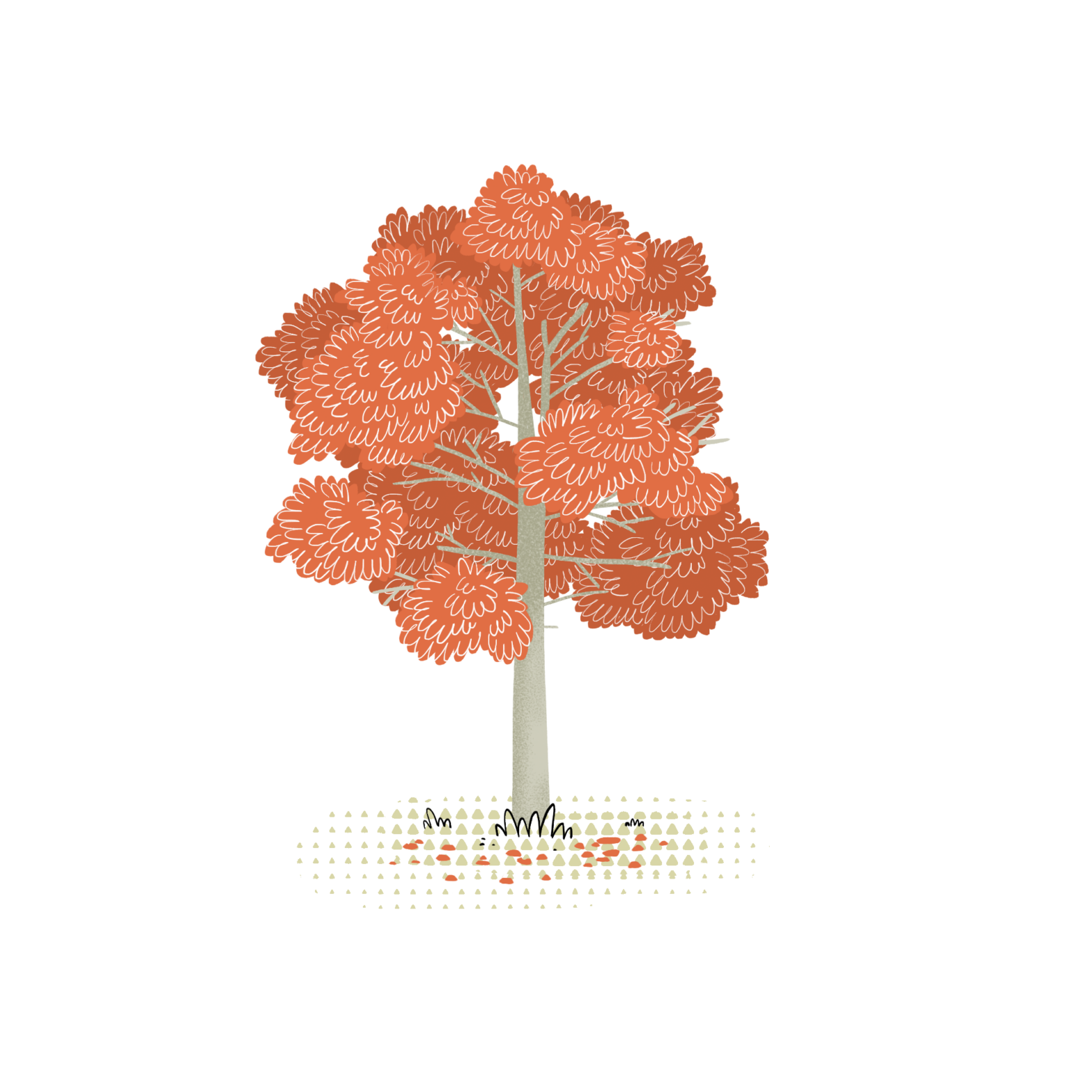 Home page - WOWnature