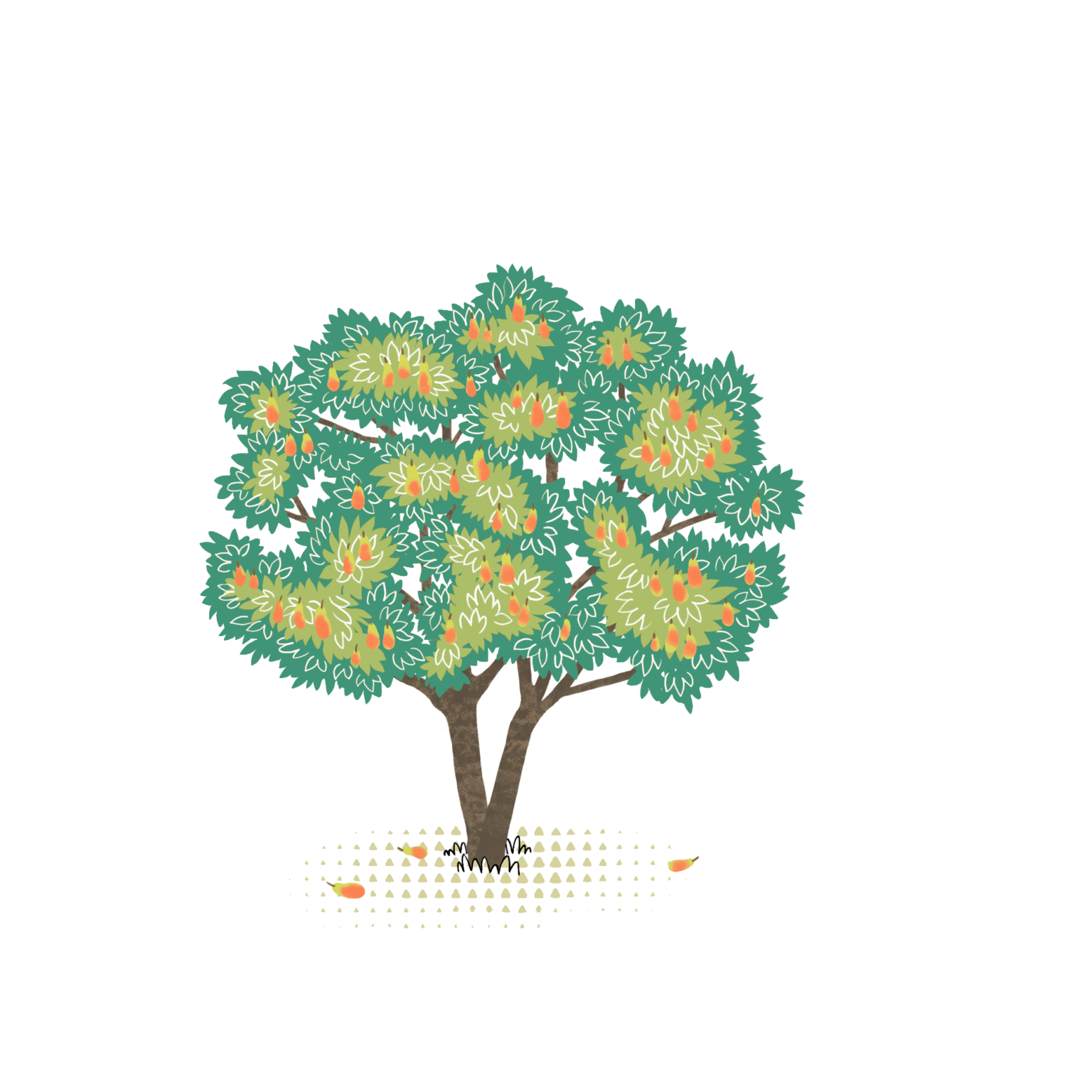 Home page - WOWnature