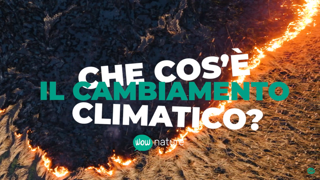 Che cos'è il cambiamento climatico - WOWnature