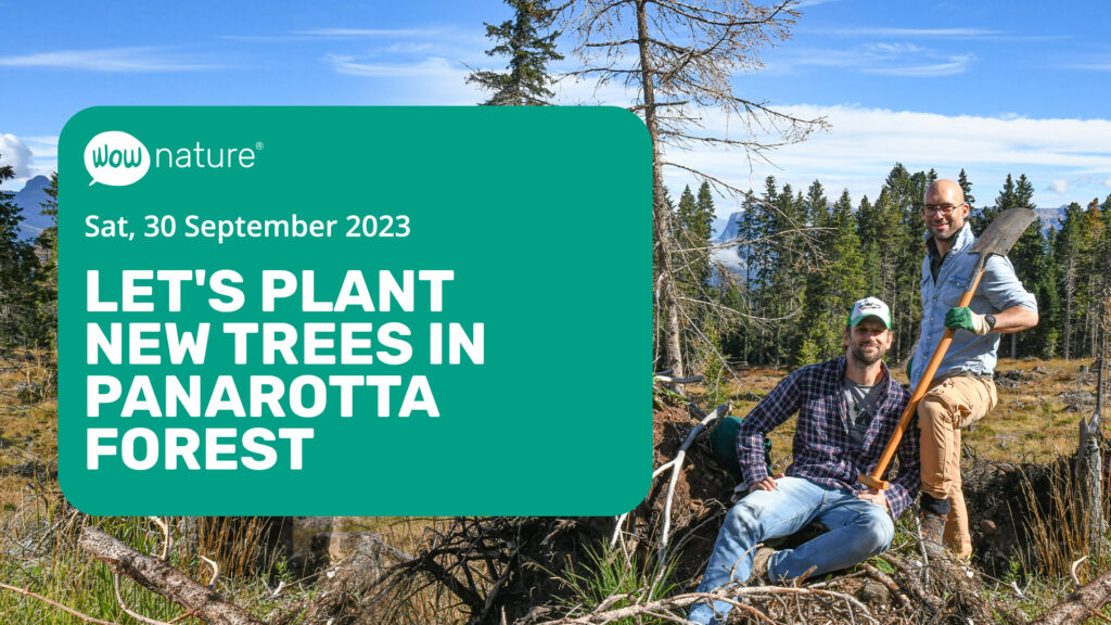 What is biodiversity? - WOWnature