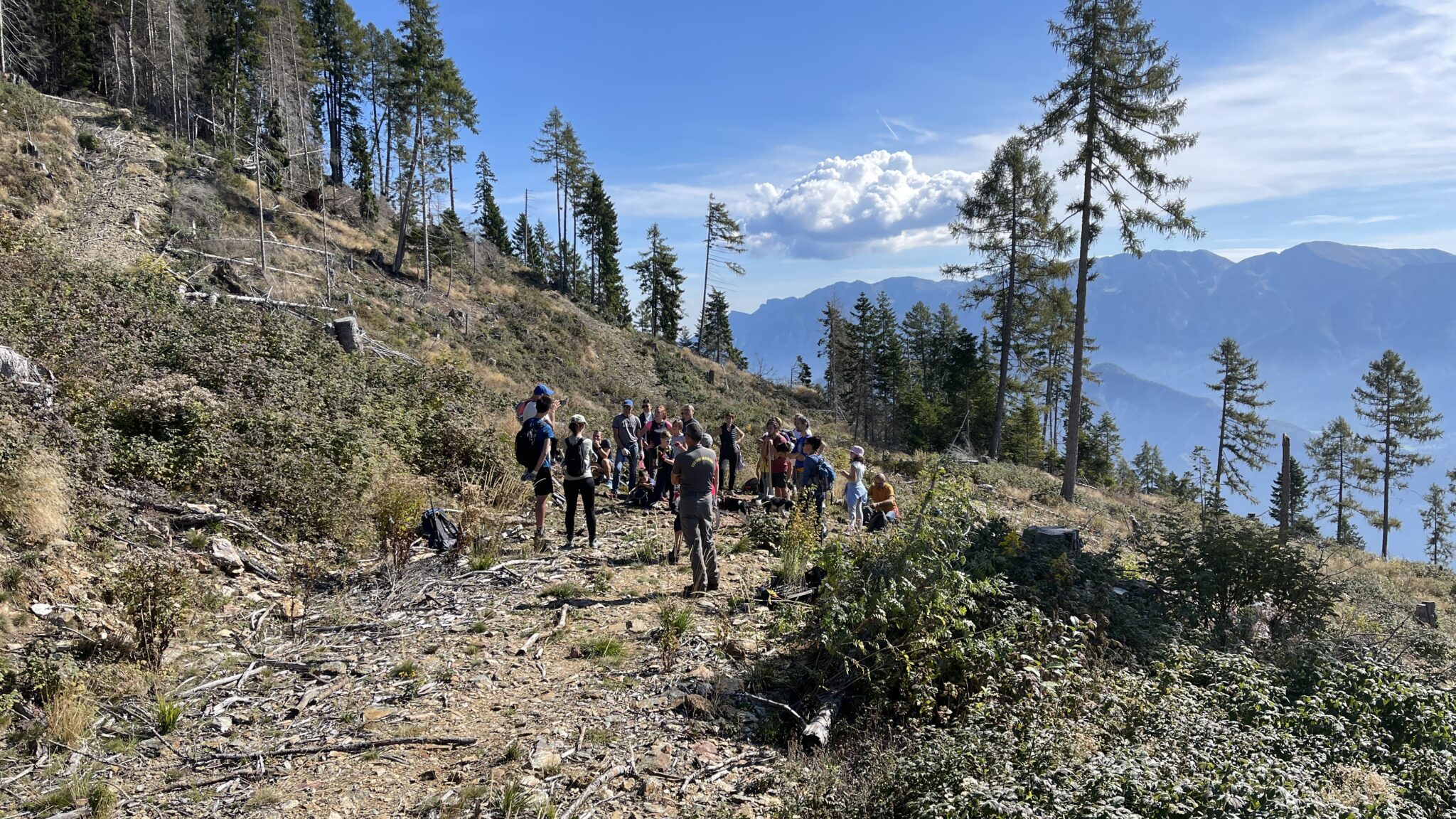 Home page - WOWnature