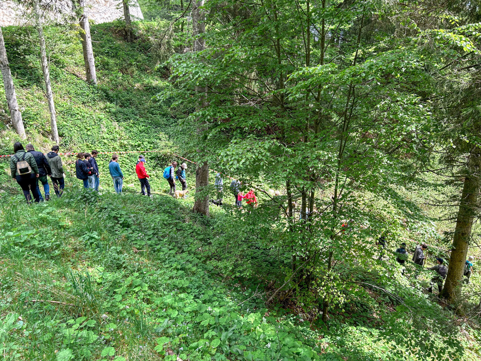 Home page - WOWnature