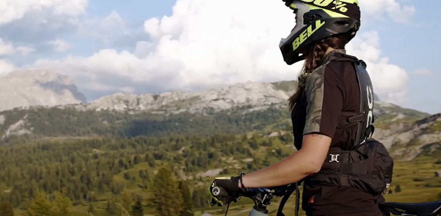 Quali sono i tipi di quercia? - WOWnature