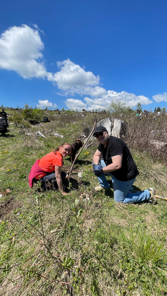 Event in Piana di Marcesina, new trees planted with WOWnature