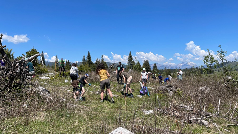 Event in Piana di Marcesina, new trees planted with WOWnature